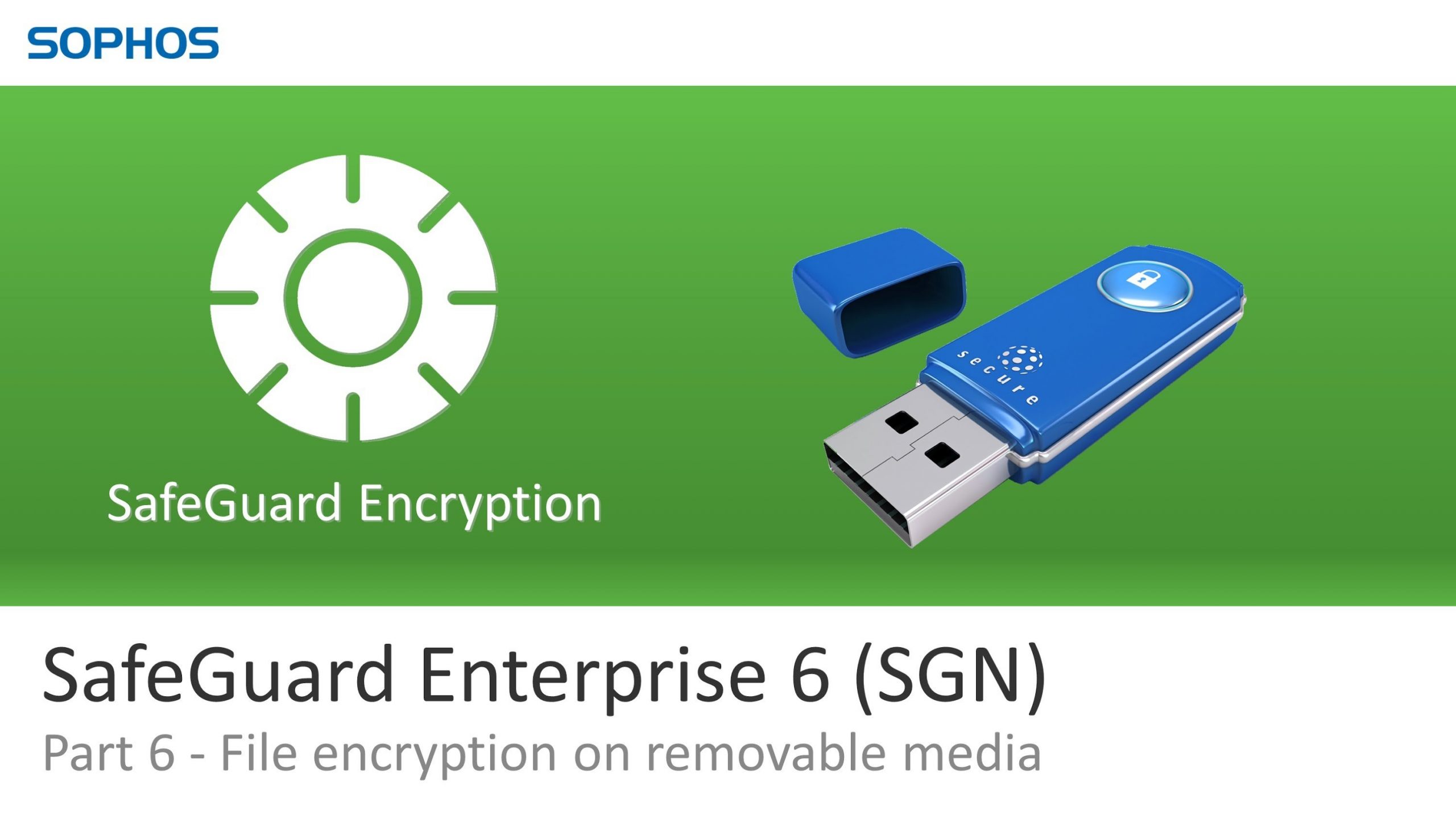 Sophos Safeguard Encryption | Kurumsal Destek